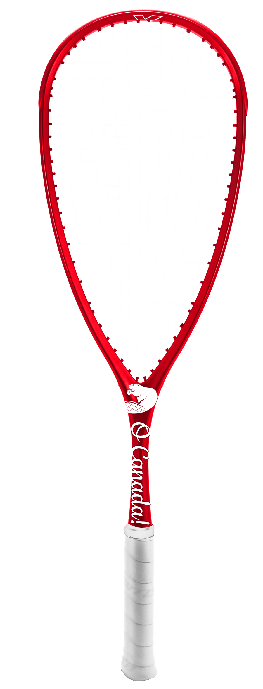 Racquets – XamsaSquash